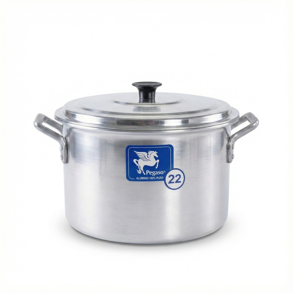 OLLA PEGASO No. 22 CON ASA No OLL22AS/PEG | La Violeta